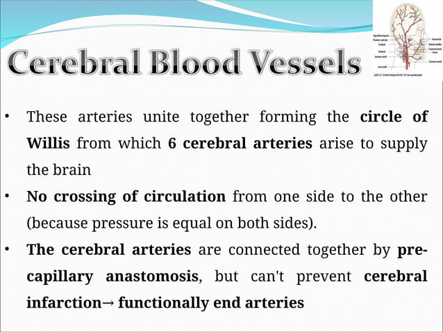 cerebral circulation : Blood Circulation of Brain.ppt