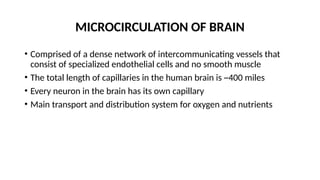 CEREBRAL CIRCULATION that how blood circulation occur | PPT