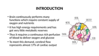 CEREBRAL CIRCULATION that how blood circulation occur | PPT