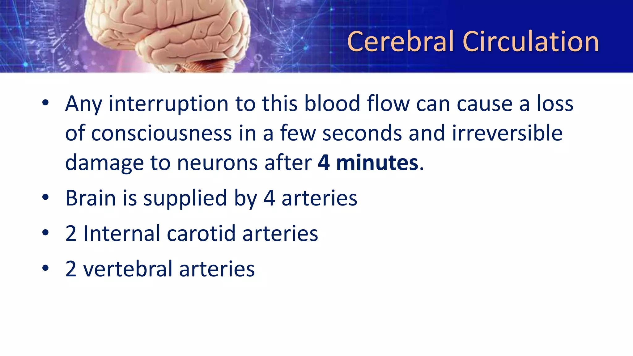 Cerebral circulation | PPTX