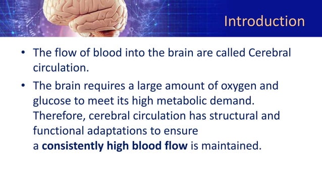 Cerebral circulation | PPT