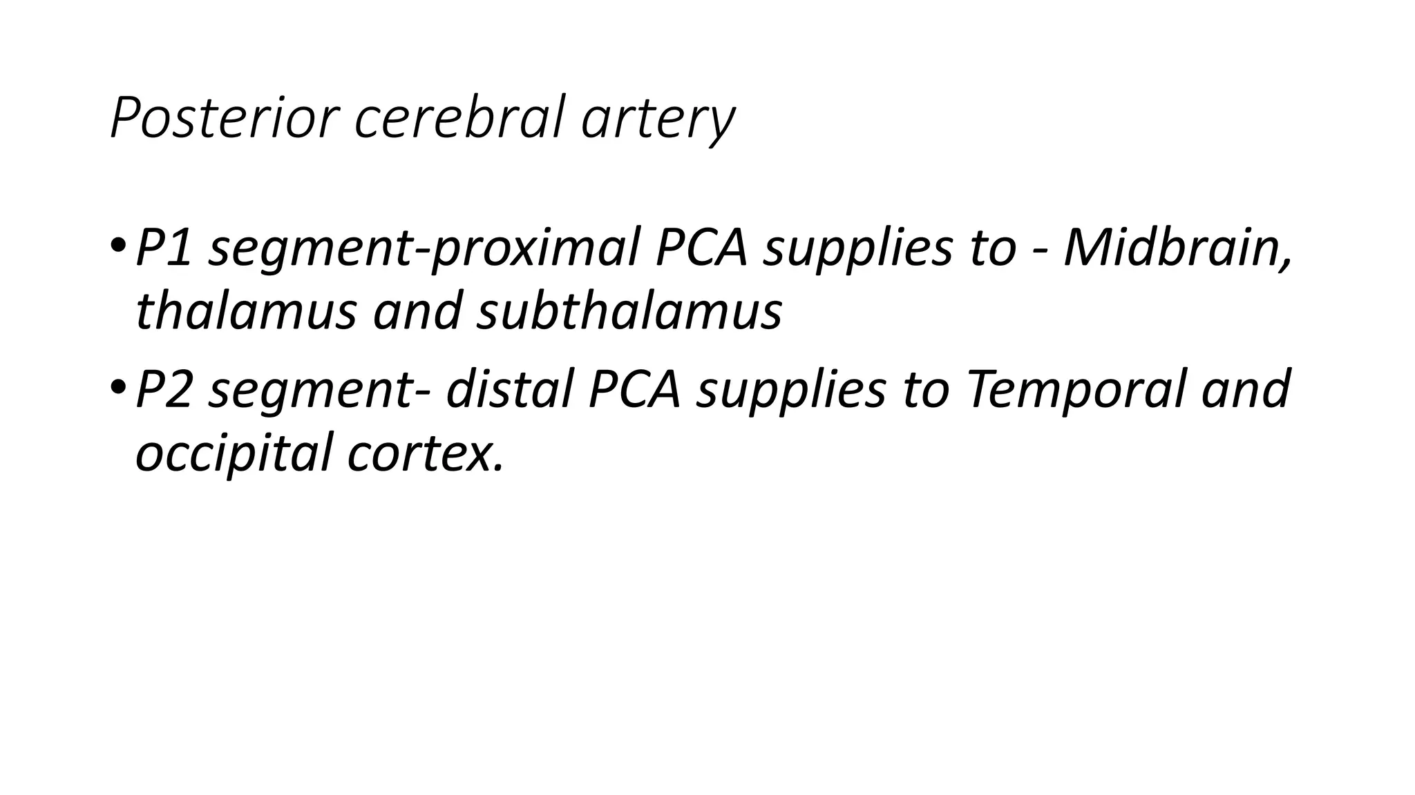 Cerebral circulation and brain stem syndromes | PPTX