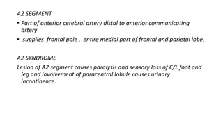 Cerebral circulation and brain stem syndromes | PPT