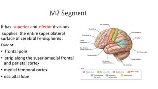 Cerebral circulation and brain stem syndromes | PPTX