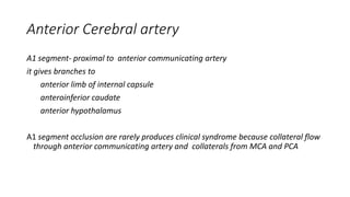 Cerebral circulation and brain stem syndromes | PPTX