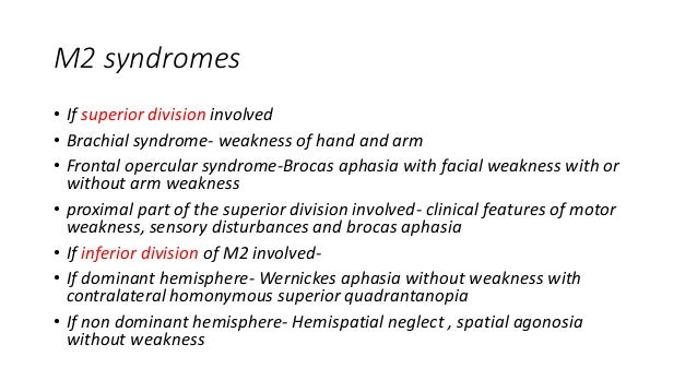 Cerebral circulation and brain stem syndromes