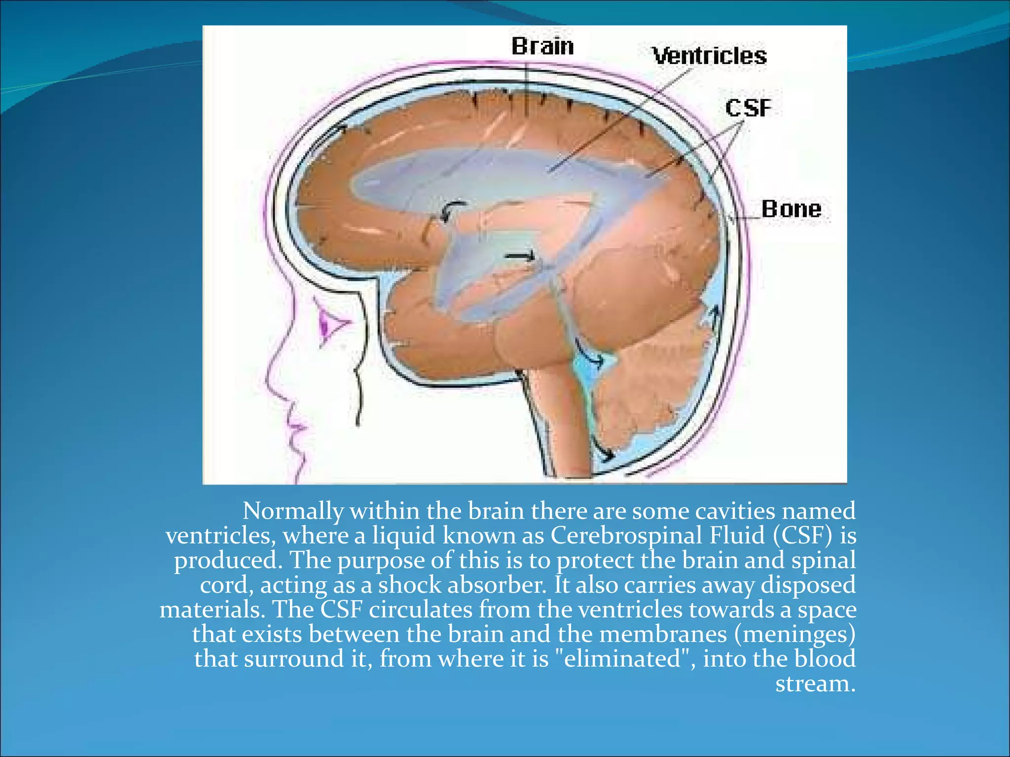 Cerebral circulation & csf formation | PPT
