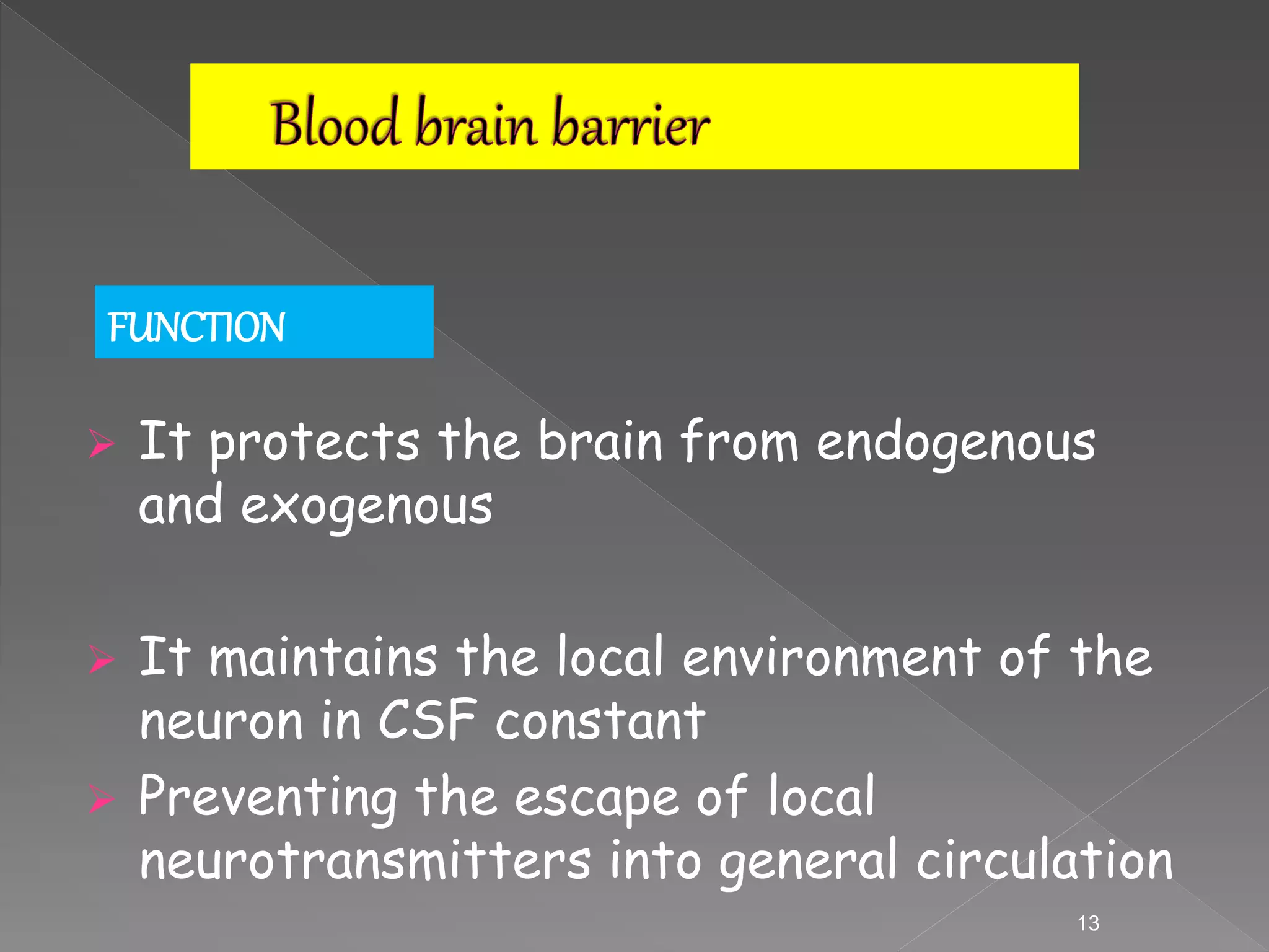 Cerebral circulation physiology by zainab iqbal | PPTX