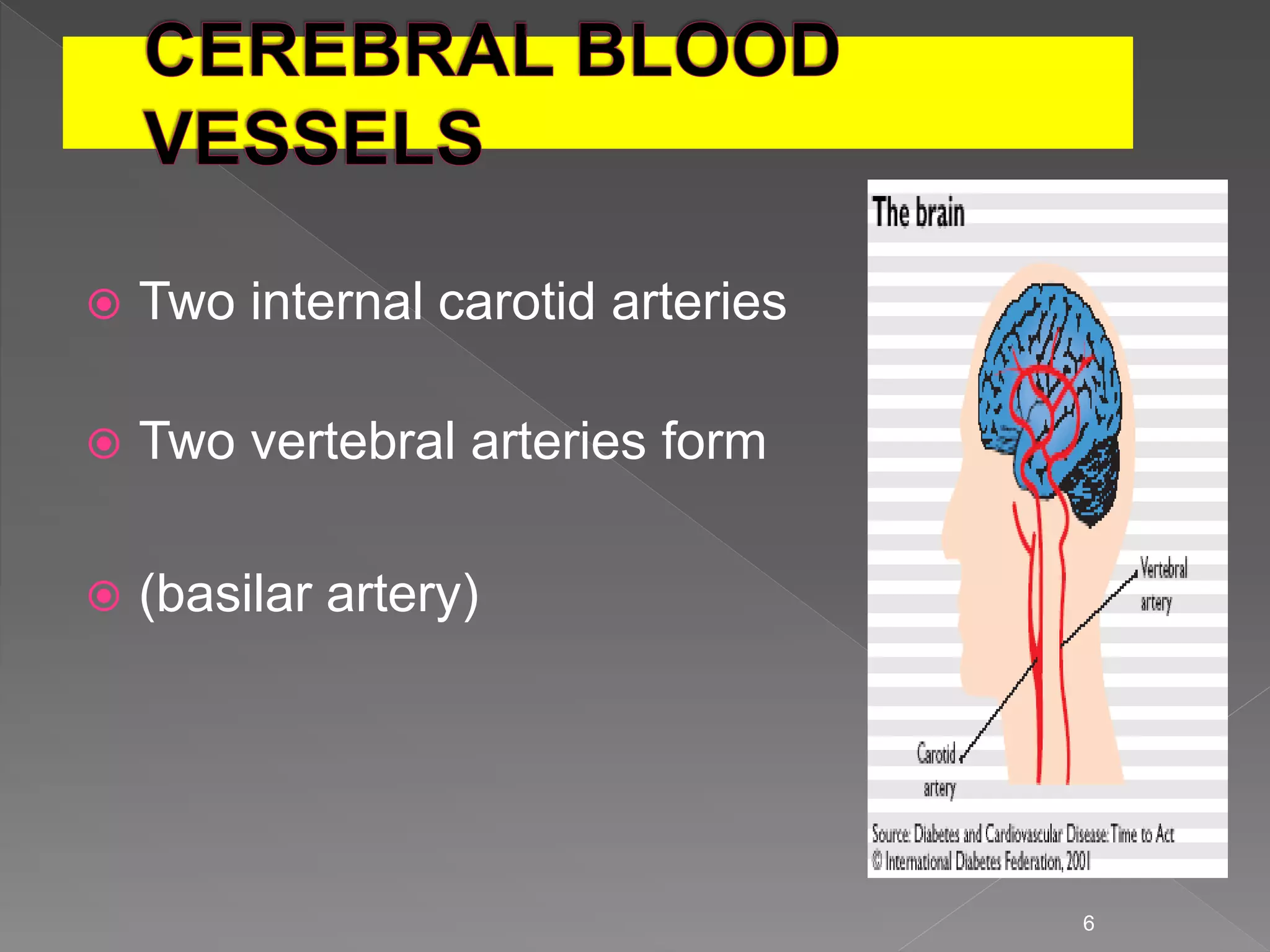 Cerebral circulation physiology by zainab iqbal | PPTX