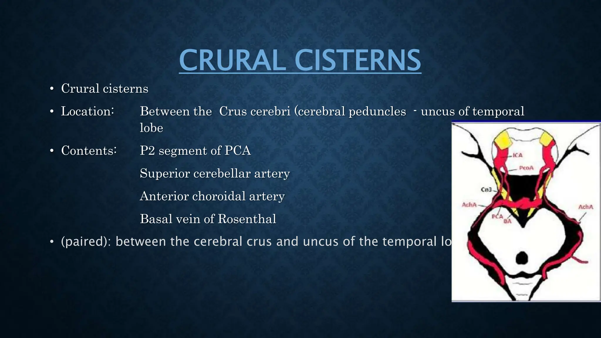 cerebral cisterns for radiology dnb .pptx
