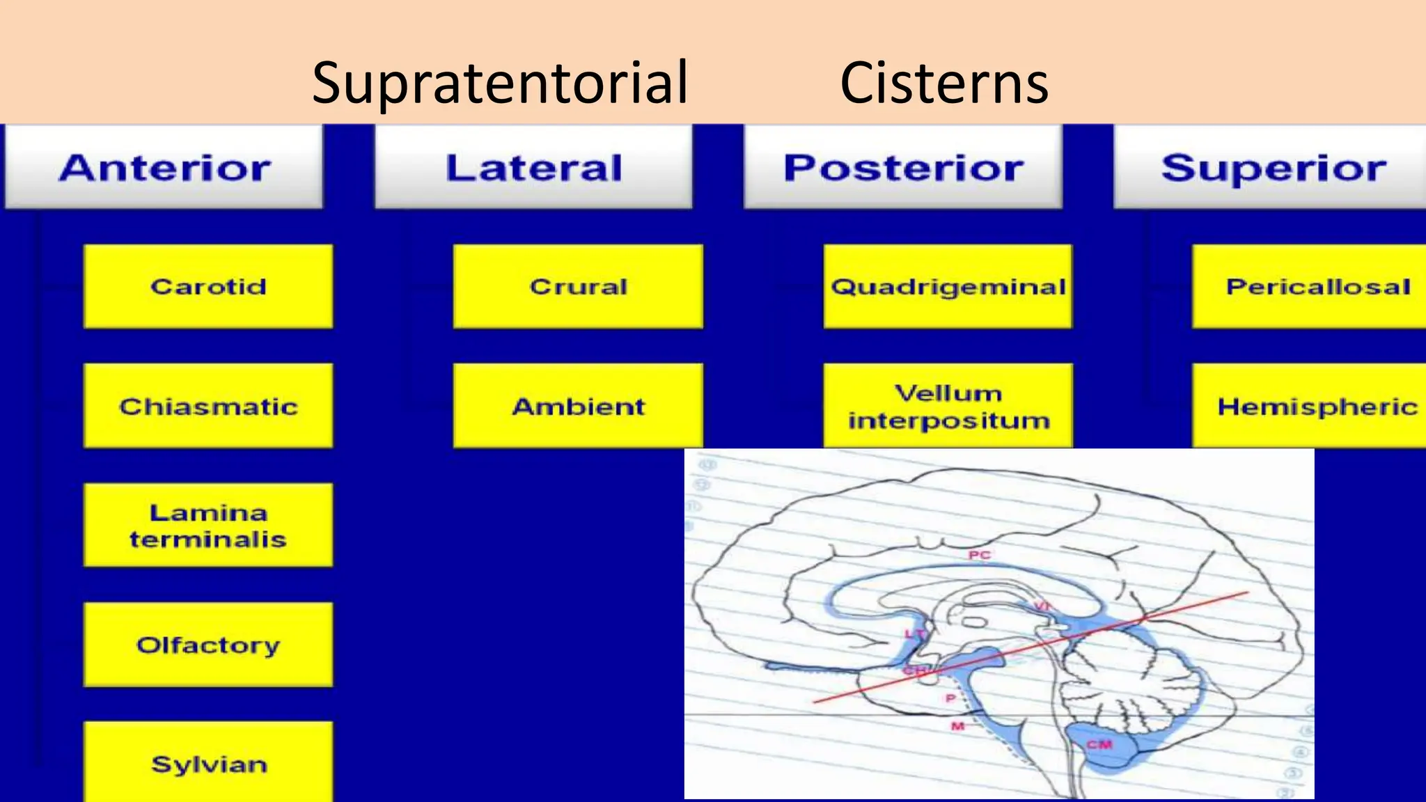 cerebral cisterns for radiology dnb .pptx