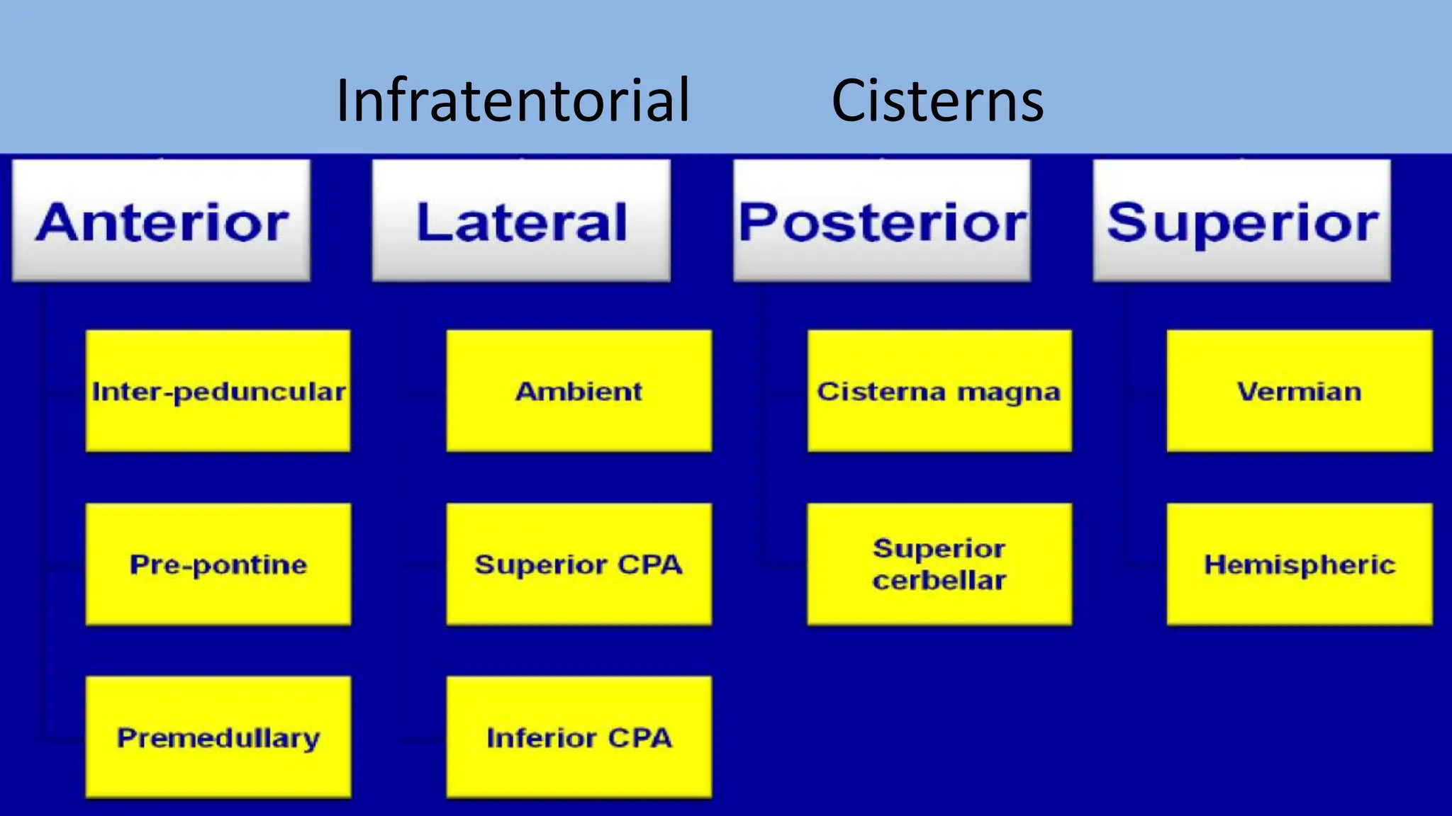 cerebral cisterns for radiology dnb .pptx