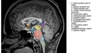 cerebral cisterns for radiology dnb .pptx