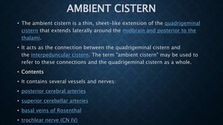 cerebral cisterns for radiology dnb .pptx