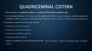 cerebral cisterns for radiology dnb .pptx
