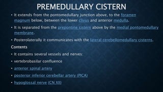 cerebral cisterns for radiology dnb .pptx