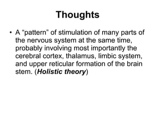 Cerebral cortex | PPT
