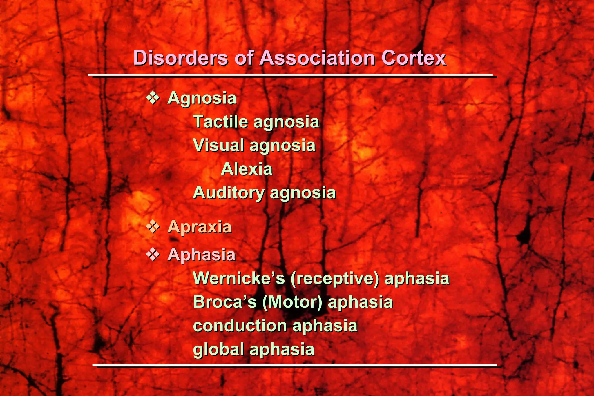 Cerebral cortex | PPS