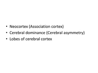 Cerebral cortex | PPTX