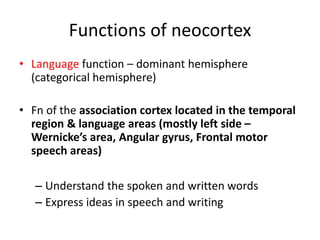 Cerebral cortex | PPTX