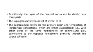 Cerebral cortex | PPTX