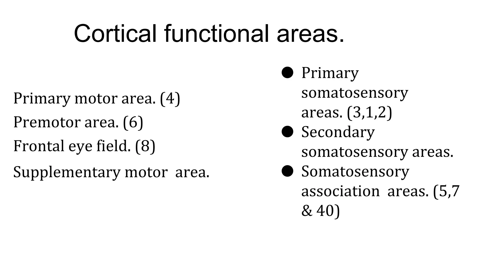 Cerebral Cortex.pptx