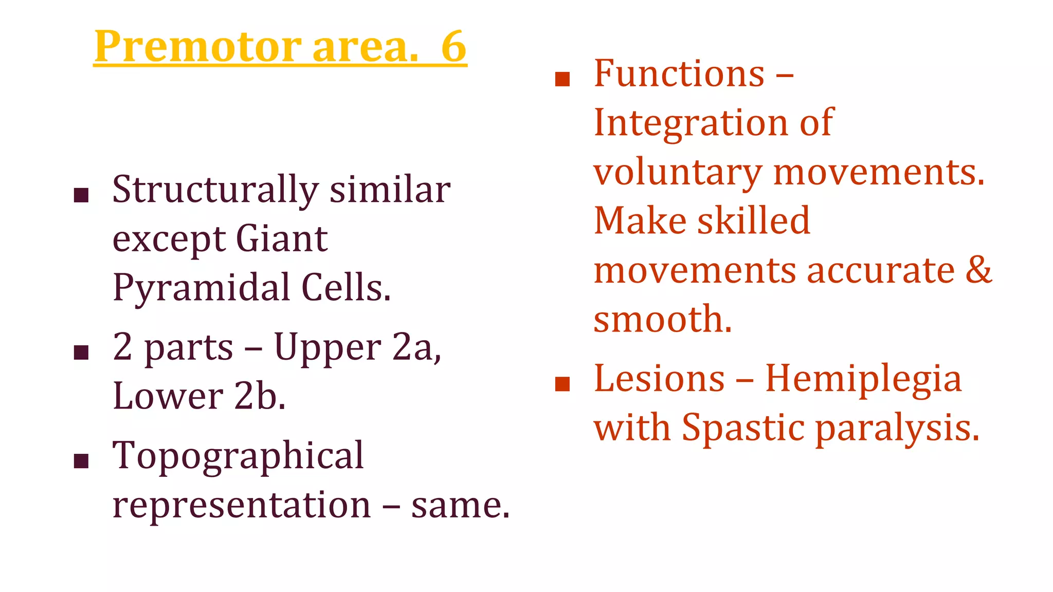 Cerebral Cortex.pptx