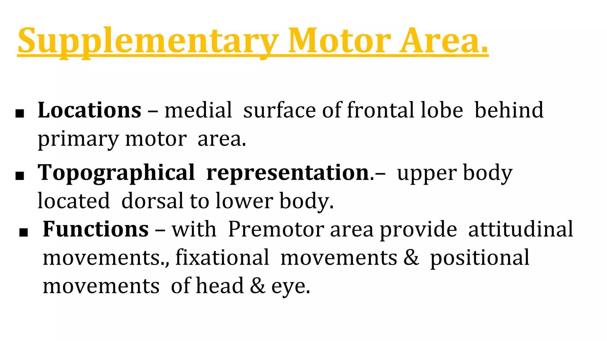 Cerebral Cortex.pptx