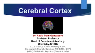 Cerebral Cortex and clinical correlations.pptx