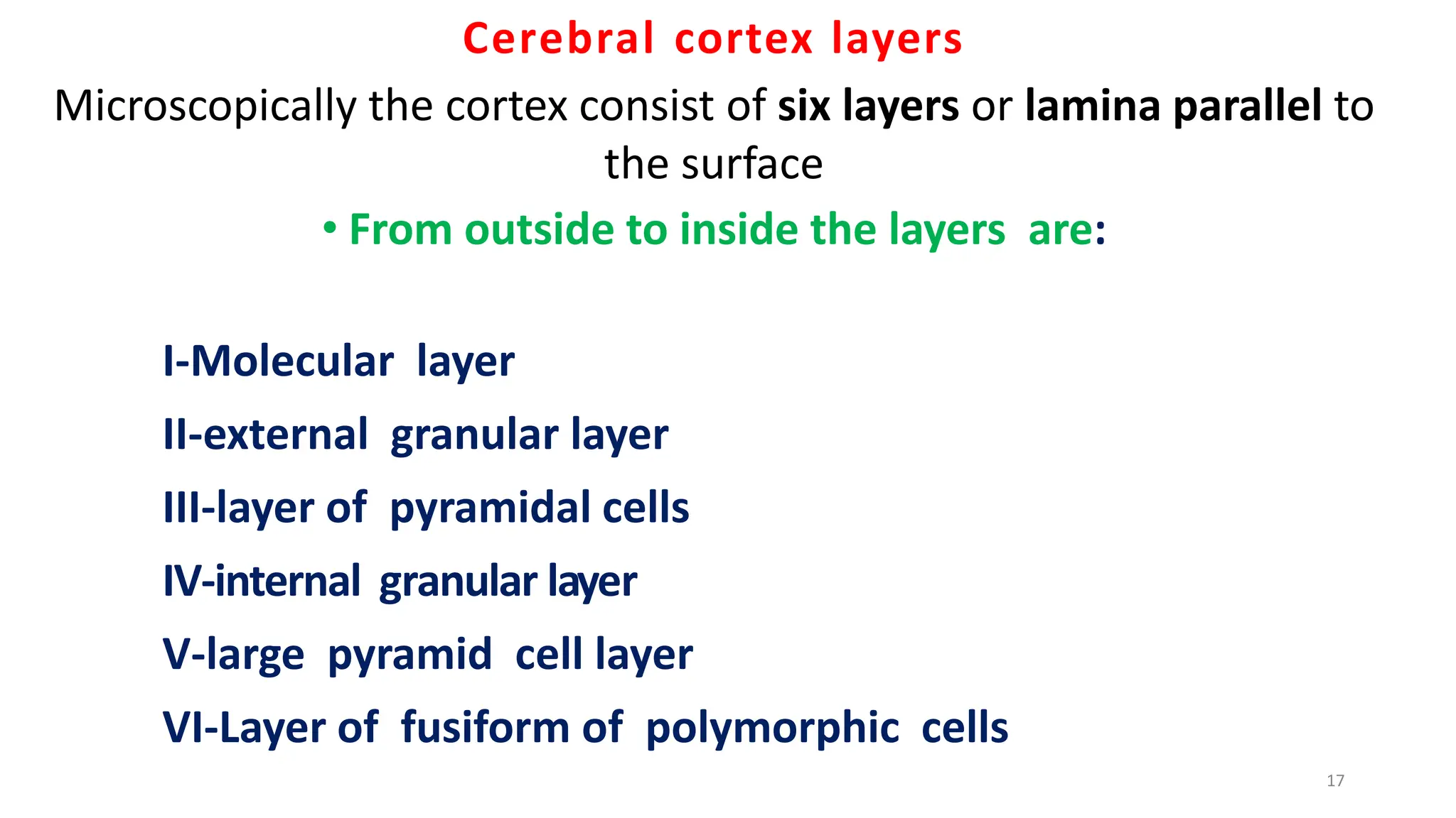 CEREBRAL CORTEX PHYSIOLOGY FUNCTIONS AND LESIONS-29 DEC.pptx