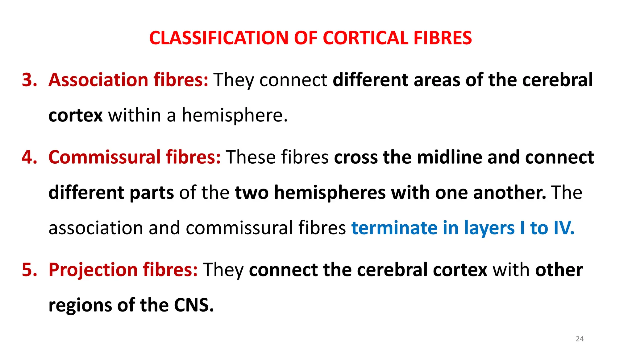 CEREBRAL CORTEX PHYSIOLOGY FUNCTIONS AND LESIONS-29 DEC.pptx