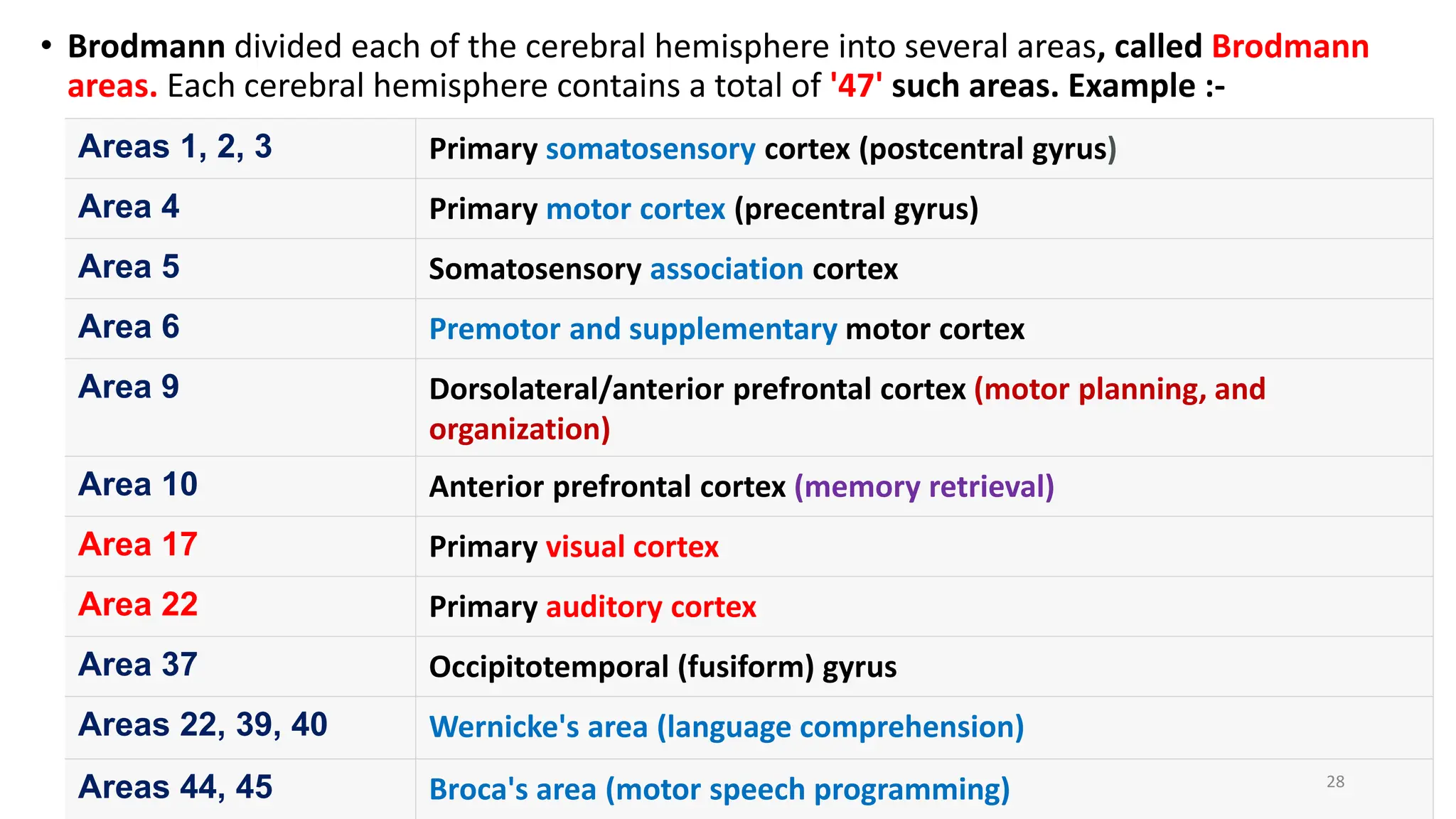 CEREBRAL CORTEX PHYSIOLOGY FUNCTIONS AND LESIONS-29 DEC.pptx
