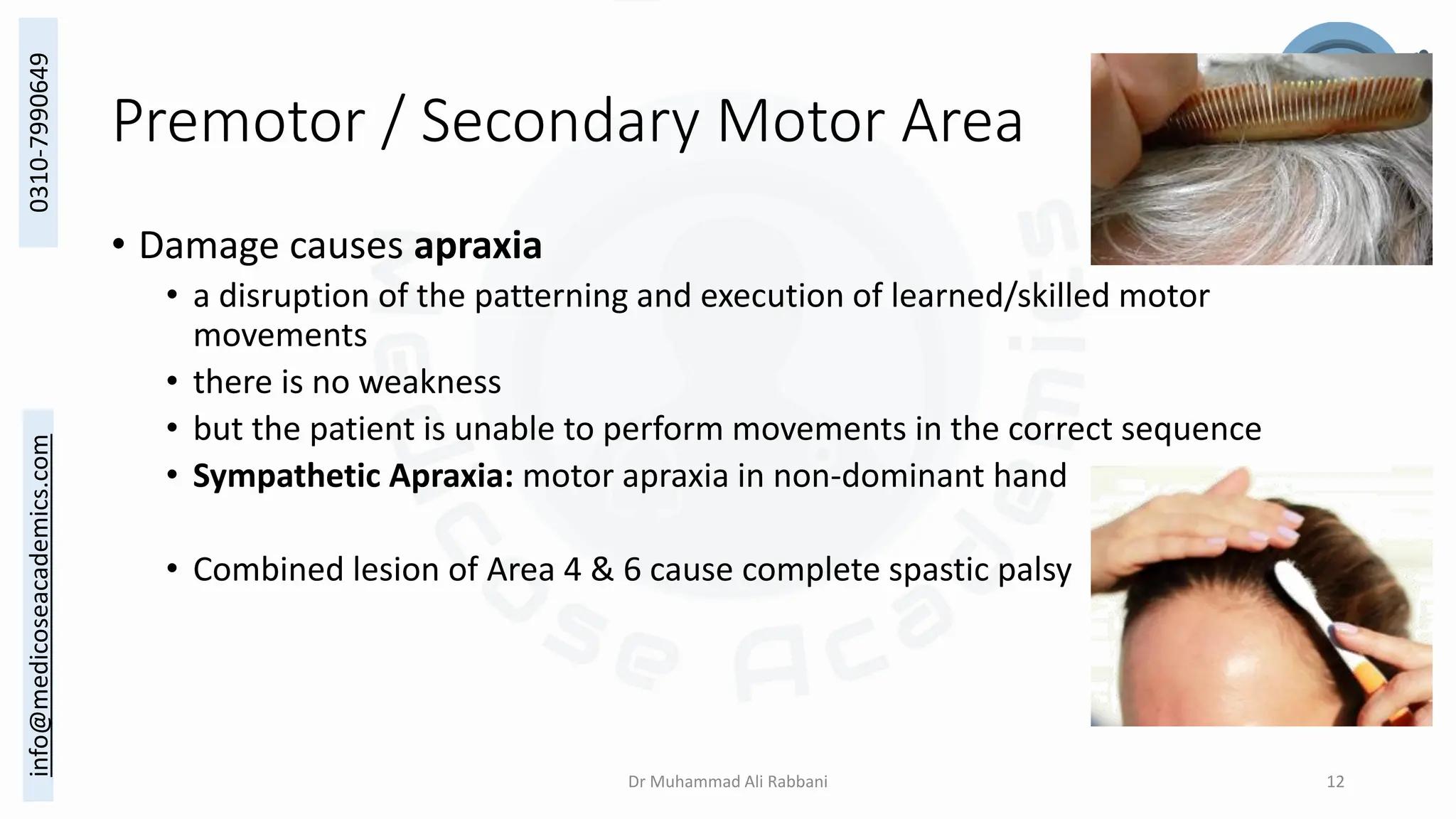 Cerebral Cortex - Functional Areas.pdf
