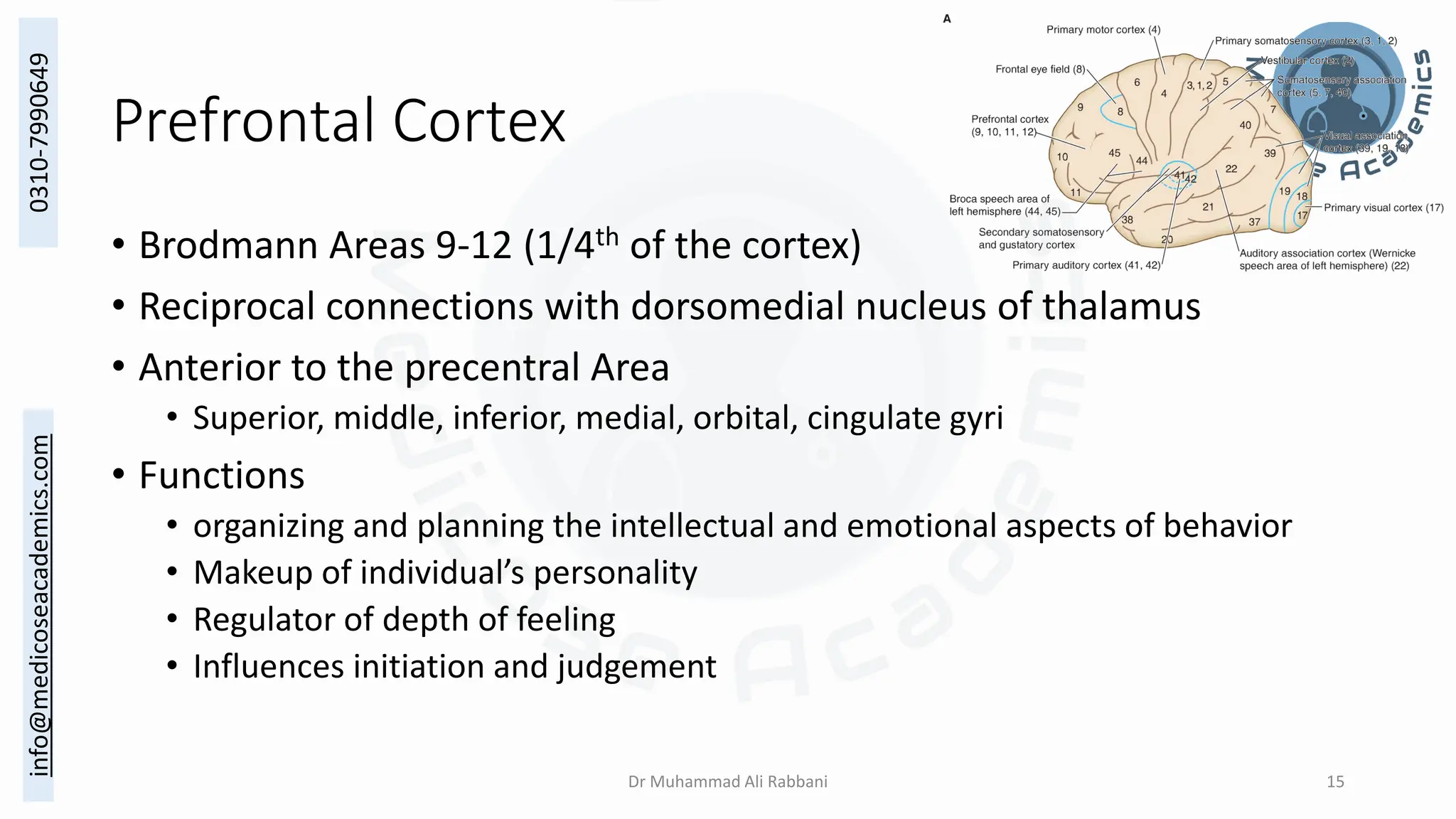 Cerebral Cortex - Functional Areas.pdf
