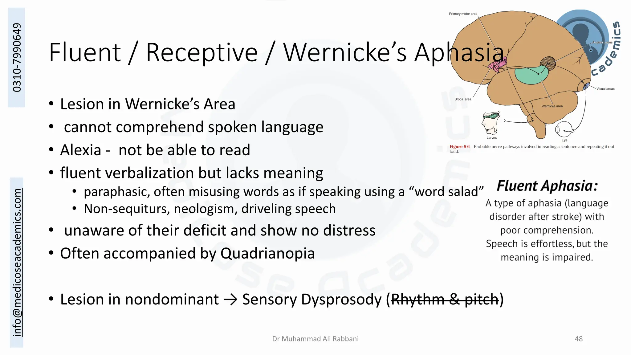 Cerebral Cortex - Functional Areas.pdf
