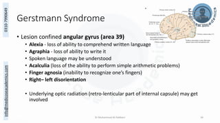 Cerebral Cortex - Functional Areas.pdf