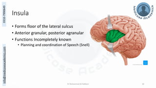Cerebral Cortex - Functional Areas.pdf