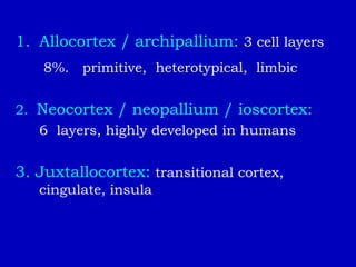 Cerebral cortex 18 april 2016pdf | PPT