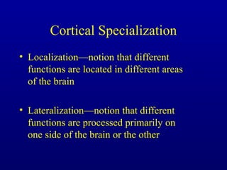 CEREBRAL CORTEX IN HUMAN BRAIN | PPT