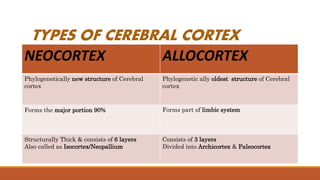 Cerebral cortex and function | PPTX