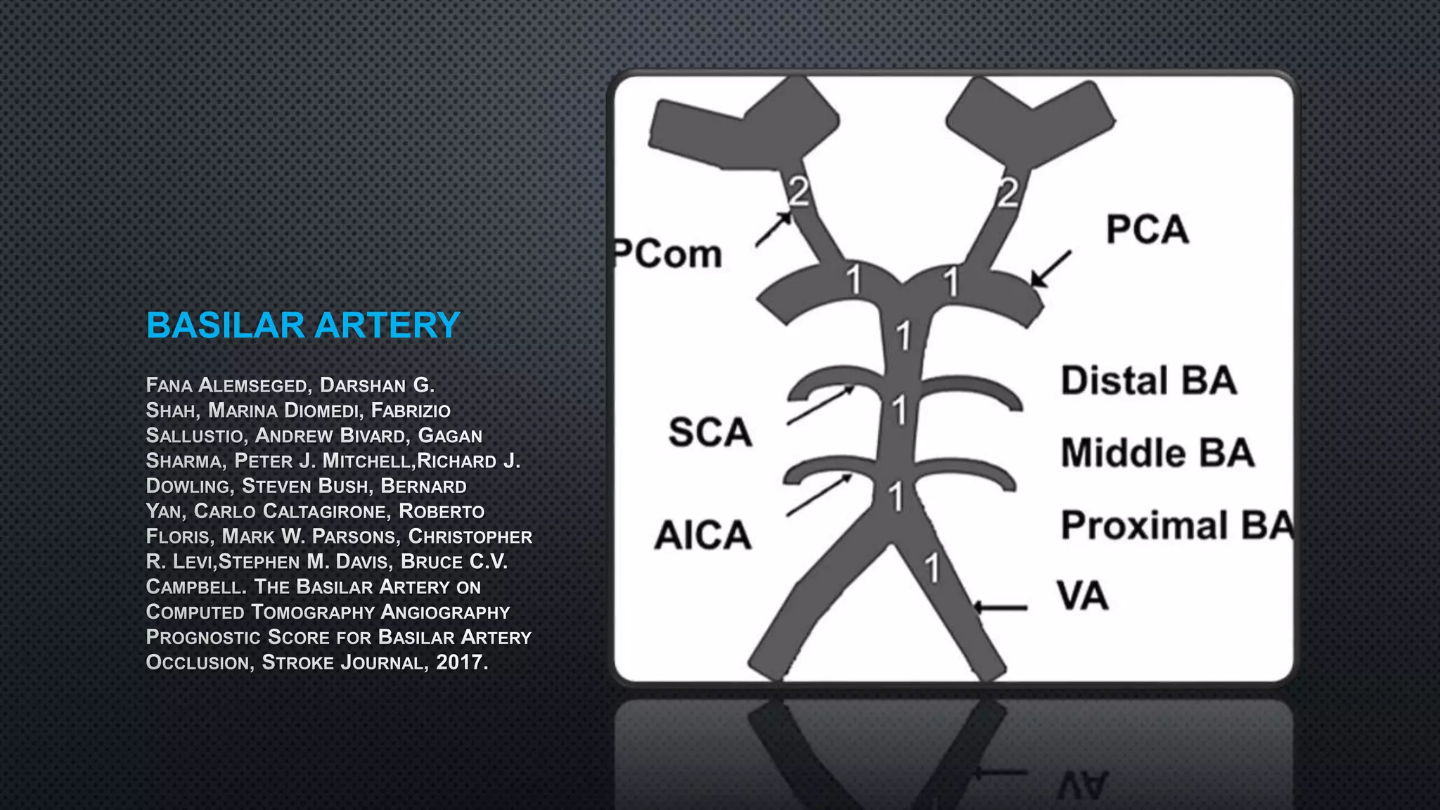 Cerebral cortex, brainstem and blood supply | PPSX