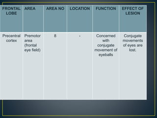 Cerebral cortex (frontal and parietal lobe) | PPTX