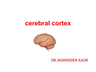 Cerebral MOTOR cortex intro AND FUNCTIONS.pptx