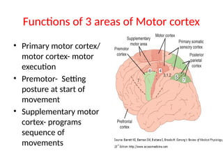 Cerebral MOTOR cortex intro AND FUNCTIONS.pptx