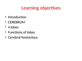Cerebral MOTOR cortex intro AND FUNCTIONS.pptx