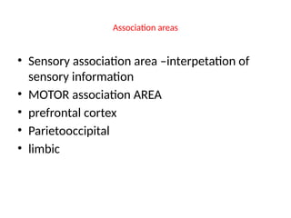 Cerebral MOTOR cortex intro AND FUNCTIONS.pptx