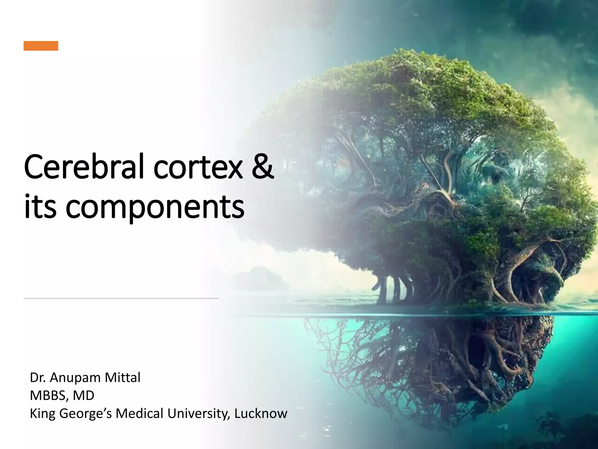 Cerebral cortex & its components | PPTX