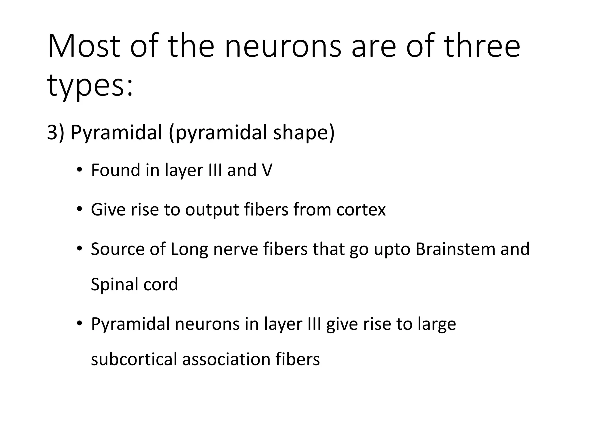 Cerebral cortex & its components | PPTX