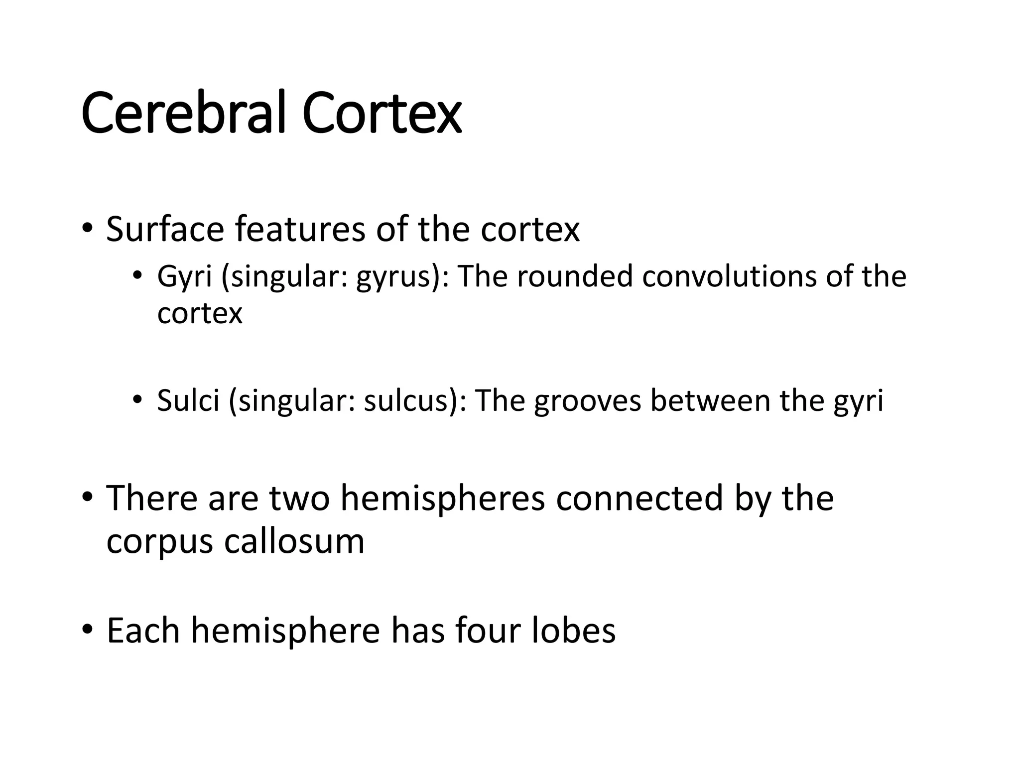 Cerebral cortex & its components | PPTX