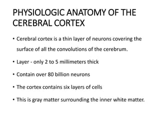 Cerebral cortex & its components | PPT